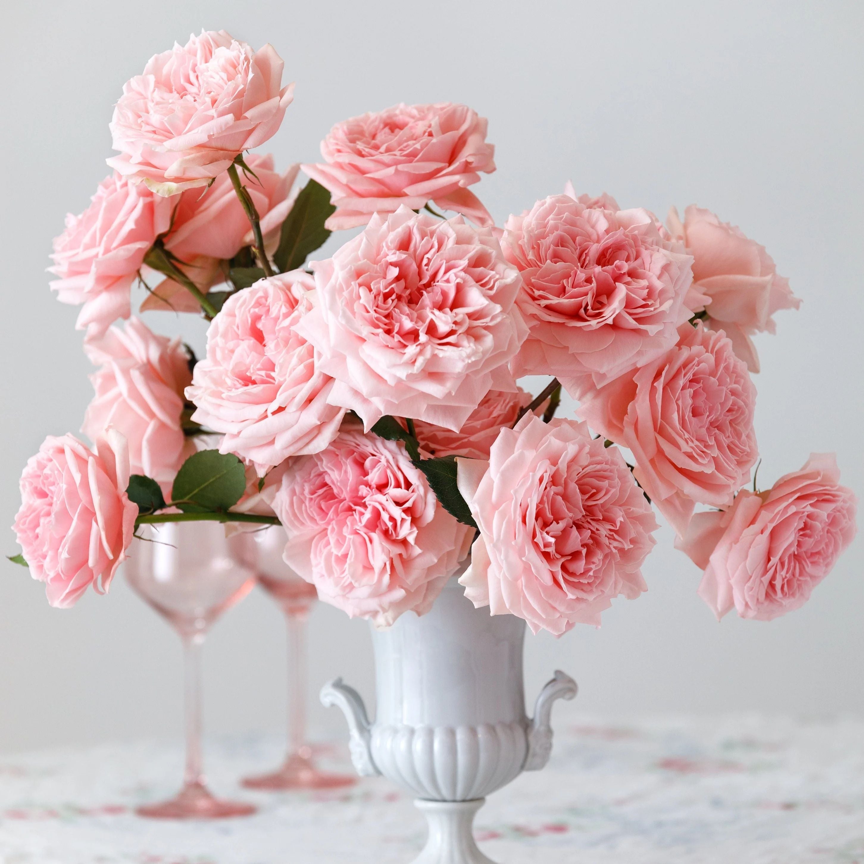 Princess Roses – Seaside Roses Nursery